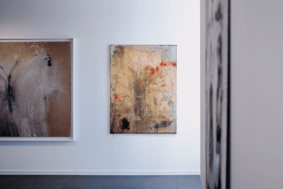 Galerie | MOLO Resort